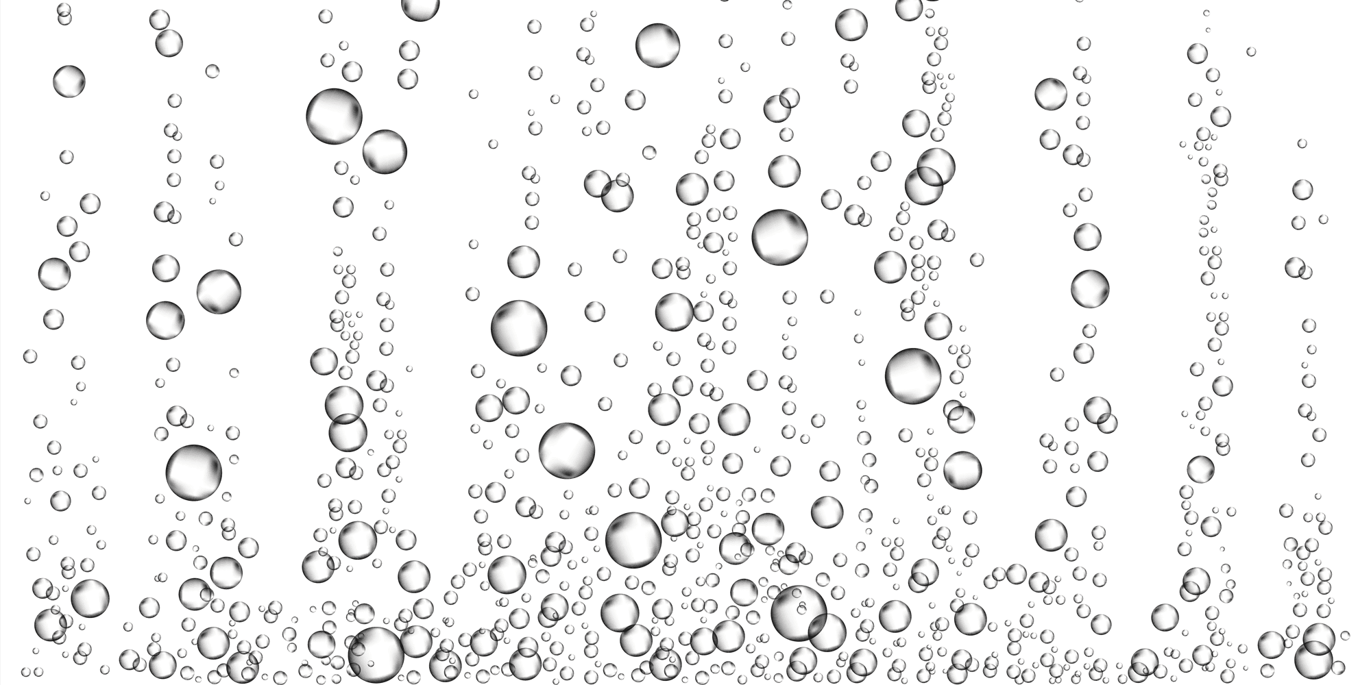 Hot Carbonation Extraction Cleaning | Chem-Dry by Rhein